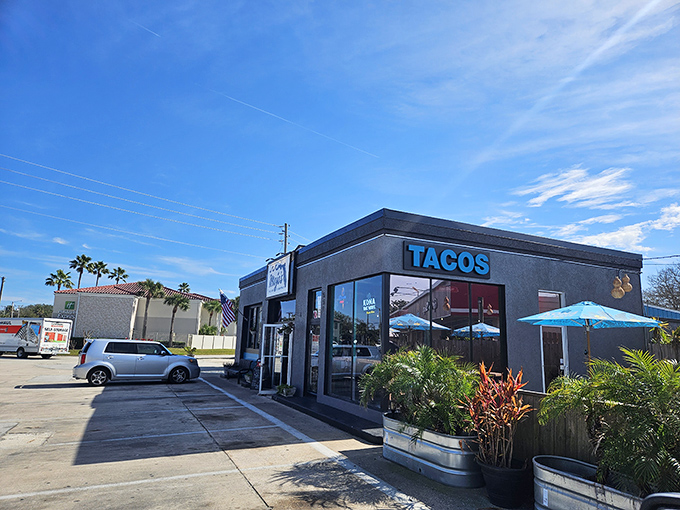 A blue Florida sky welcomes hungry visitors to this corner taqueria, where palm trees and tacos create the perfect Sunshine State pairing.