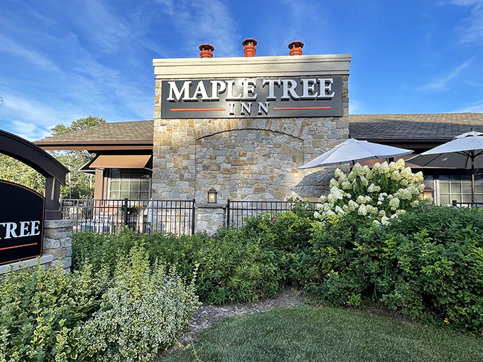The stone facade of Maple Tree Inn stands proudly against a blue Illinois sky, like a culinary fortress guarding delicious secrets within.