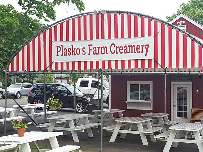 The iconic red-and-white striped awning of Plasko's Farm Creamery beckons like a delicious mirage on the Connecticut landscape.