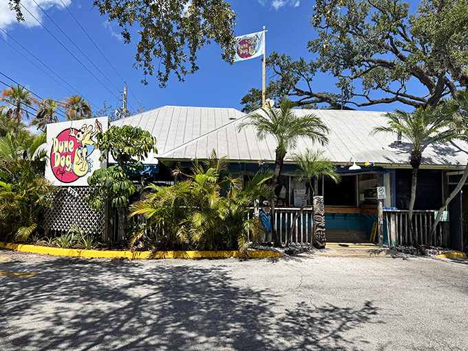 This tropical spot is the perfect setting for a casual meal! Ready to enjoy the sunny Florida vibes and amazing food inside.