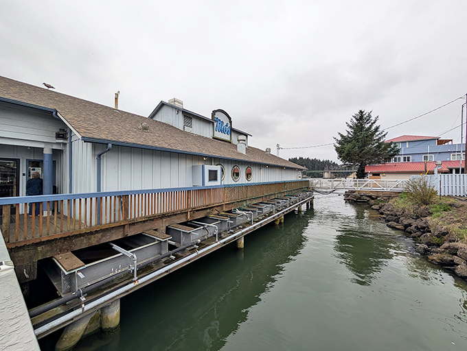 Mo's iconic waterfront location isn't trying to impress you with fancy architecture&mdash;it's saving all that energy for what's on your plate.