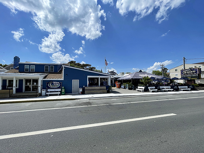 Another angle reveals this Dewey Beach landmark, where parking spots are harder to find than a quiet moment during happy hour.