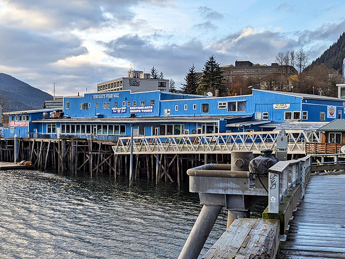 With its bright blue exterior and stunning waterfront views, The Hangar on the Wharf is a Juneau favorite serving legendary seafood and prime rib in a historic former airplane hangar.