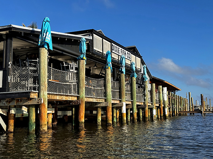 Built on stilts like a fortress against the tide, Dixie Fish Company stands ready for whatever the Gulf throws its way.