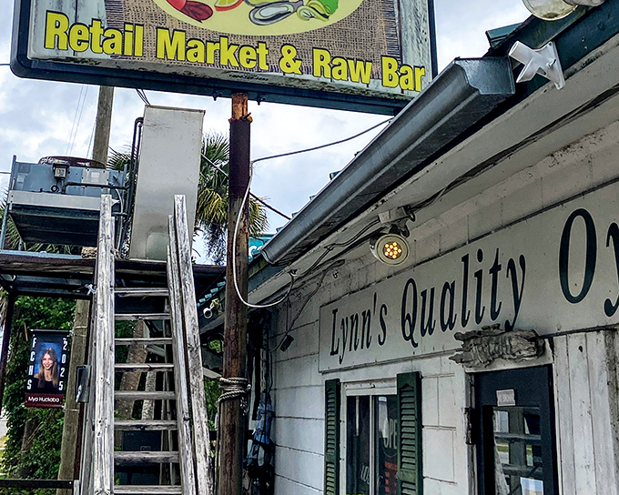 The weathered charm of Lynn's exterior tells you everything: this is a place that prioritizes seafood over scenery. The real beauty awaits inside.