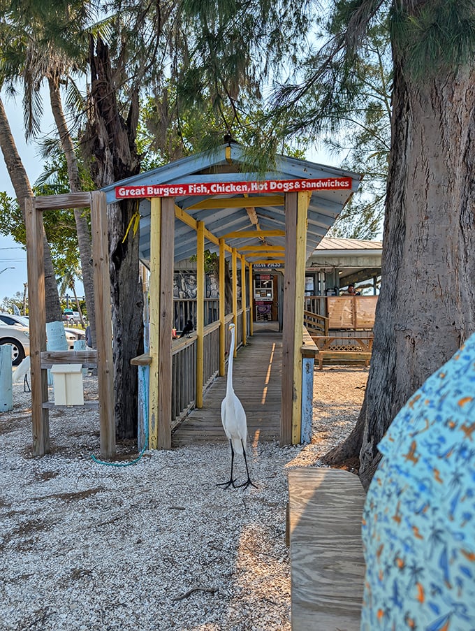 The entrance says it all&mdash;great burgers, fish, and a white egret greeter who's clearly a regular at this coastal gem.