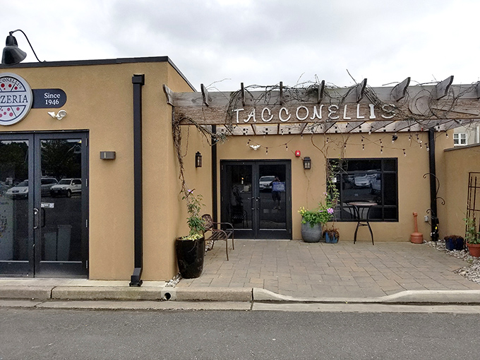 The entrance to pizza paradise! Tacconelli's rustic exterior with its weathered wooden sign and climbing vines promises authentic flavors waiting inside.