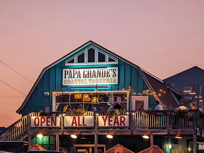 That sunset glow transforms Papa Grande's teal barn into a coastal beacon of culinary promise. The "OPEN ALL YEAR" banner feels like a reassuring wink to hungry travelers.