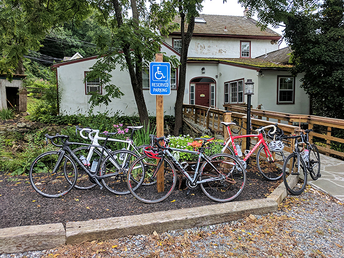 Cyclists know the secret &ndash; pedal to Butterscotch Pastry Shop, where the wooden ramp welcomes all and the treats justify every calorie burned getting there.