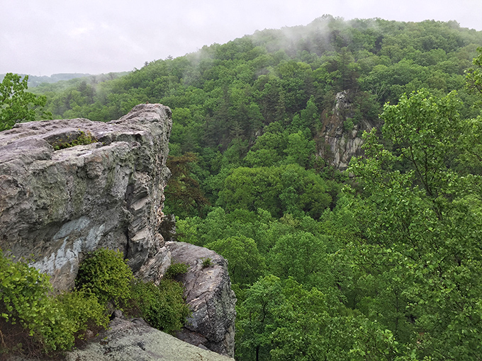 Morning mist rising over ancient rock formations creates the kind of view that makes you forget you haven't had coffee yet.