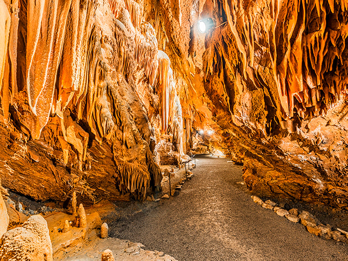 Nature's own art gallery unfolds before you. The amber-hued passageway invites exploration, with formations that took millennia to perfect their dramatic poses.