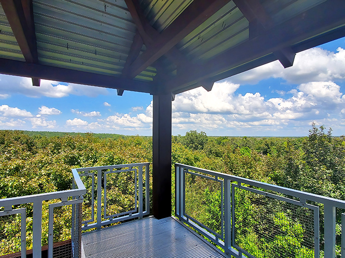 The view that makes you question everything you thought you knew about Florida's topography. Who needs mountains when you've got this?