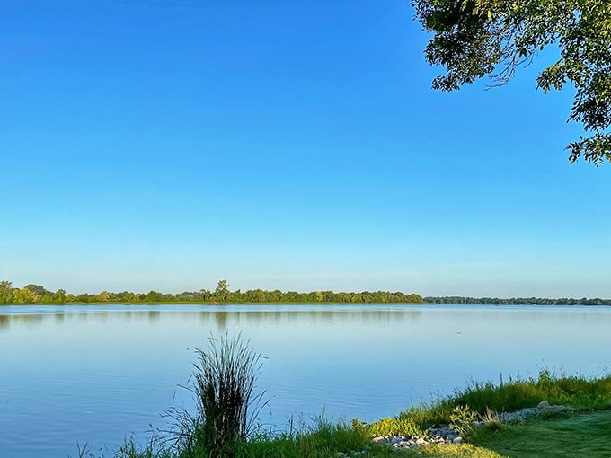 Nature's emerald carpet meets the sky – where lily pads create their own floating neighborhood on Horseshoe Lake.