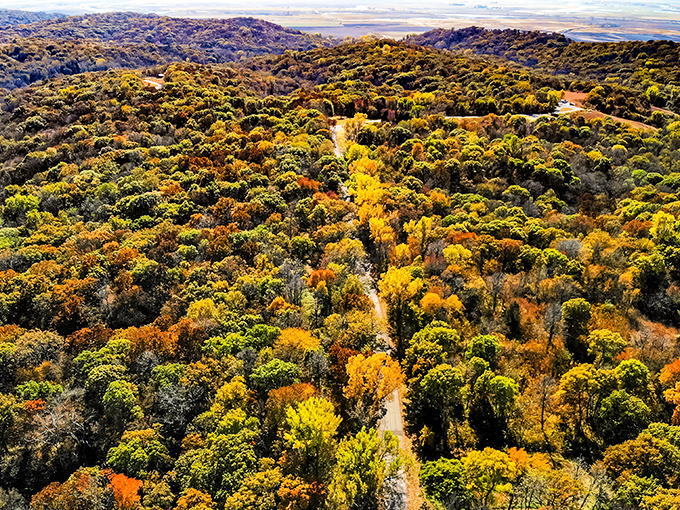 A bird's-eye view of Waubonsie's rolling hills reveals Iowa's best-kept secret. This tapestry of autumn colors proves the Hawkeye State has elevation aspirations.