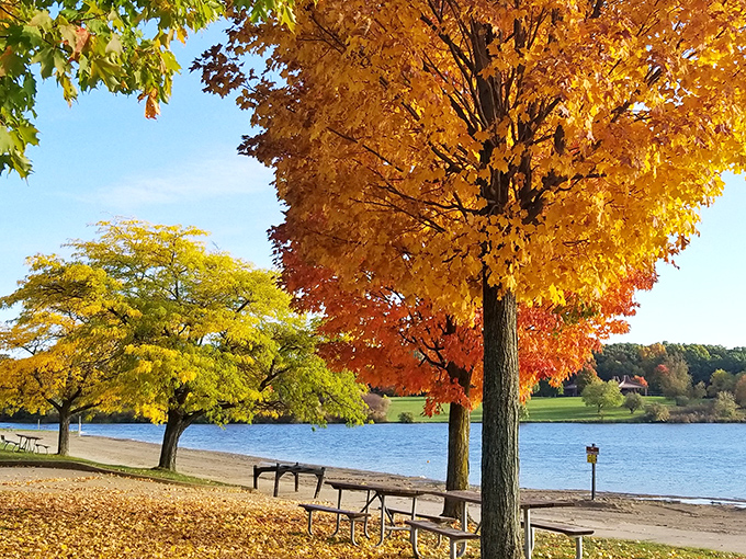 When autumn decides to show off at Seven Lakes, the result looks like someone spilled a painter's entire warm palette.
