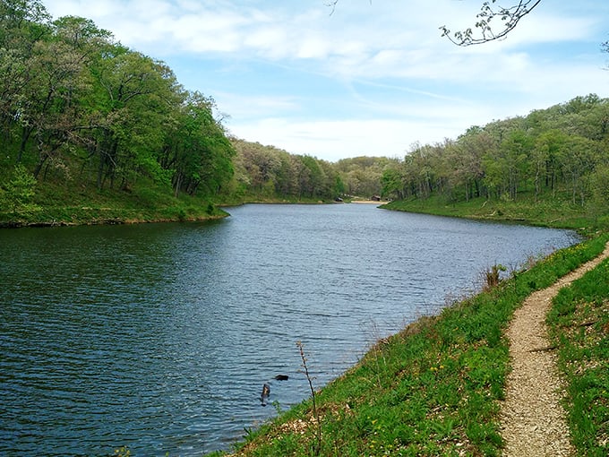 Nature's perfect mirror: Lake Lincoln reflects the surrounding forest like a landscape painter showing off. Missouri serenity at its finest.