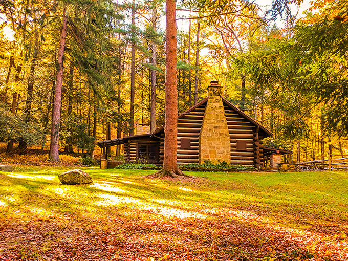 This rustic log cabin nestled among autumn-painted trees looks like it belongs in a storybook rather than just an hour's drive from Columbus.