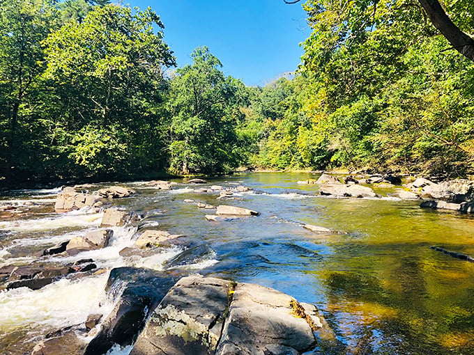 Tohickon Creek's gentle rapids create nature's own spa day&mdash;minus the cucumber water and awkward small talk with strangers in bathrobes.