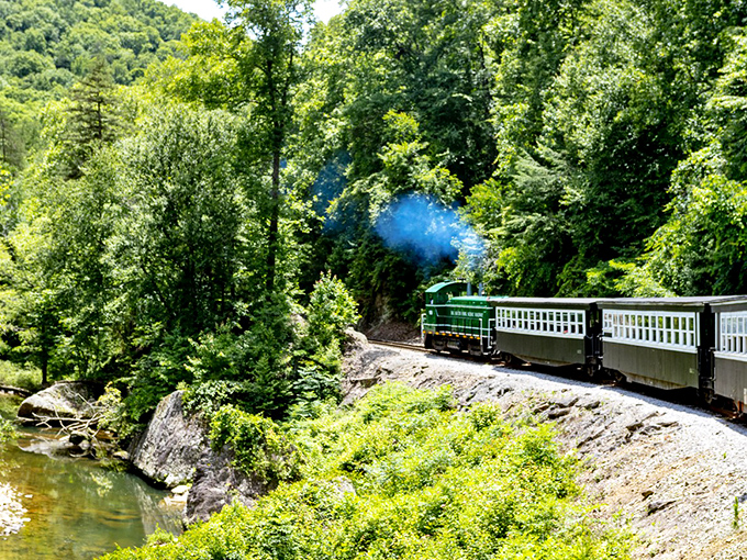 Nature's perfect frame! The emerald locomotive snakes through Kentucky's lush wilderness, puffing blue smoke signals that say "civilization who?"