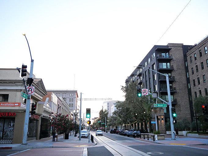 Downtown Santa Rosa welcomes you with wide streets and a blend of historic charm and modern amenities, where life moves at a refreshingly civilized pace.
