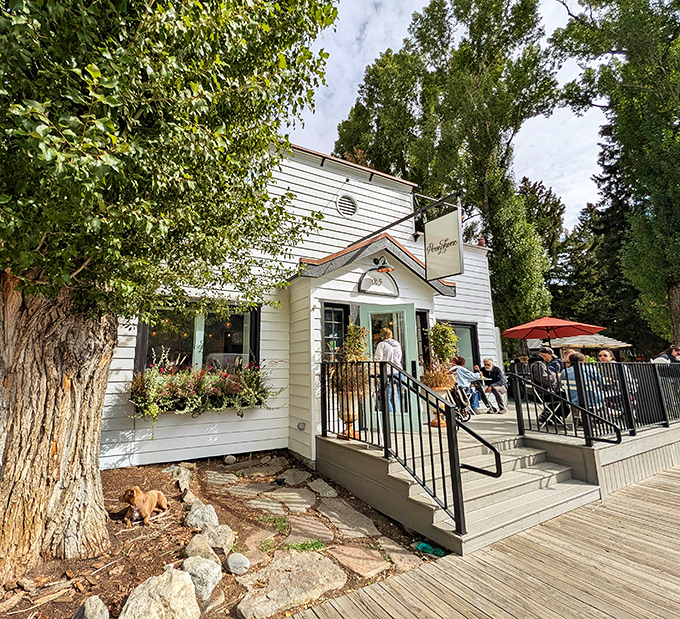 A storybook cottage in the heart of Jackson, where the white clapboard exterior and flower boxes promise culinary magic within. The perfect mountain town bakery doesn't exi&mdash;oh wait, it does.