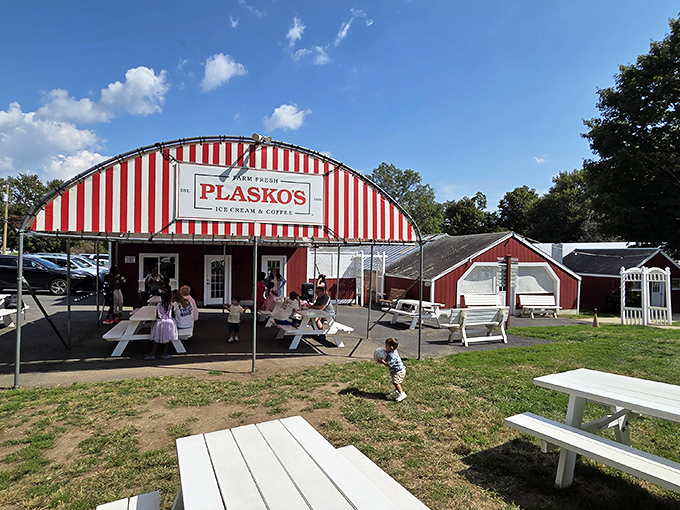 Summer afternoons were made for this&mdash;families gathering under Plasko's cheerful canopy, where ice cream dreams come true.