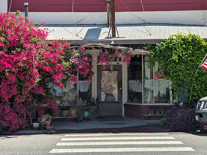 Bougainvillea blooms frame Tina's Diner like nature's own welcome sign, promising homestyle comfort before you even step through the door.