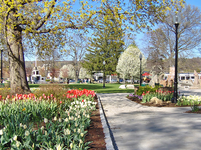 Torrington's Coe Memorial Park blooms with spring tulips, offering residents beautiful public spaces without the high-end Connecticut price tag.