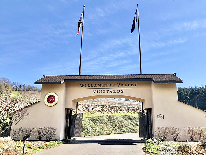 Rolling hills of grapevines stretch toward distant mountains like nature's own green carpet masterpiece.