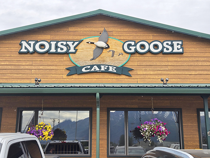 The wooden facade of Noisy Goose Cafe welcomes hungry travelers with colorful hanging flower baskets and mountain views that scream "This is Alaska!"