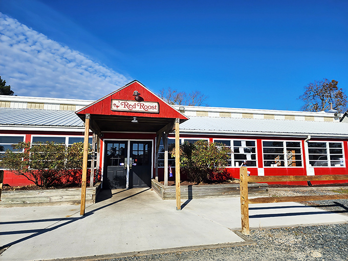 The bright red exterior of The Red Roost stands like a culinary lighthouse in rural Quantico, beckoning hungry travelers from miles around.