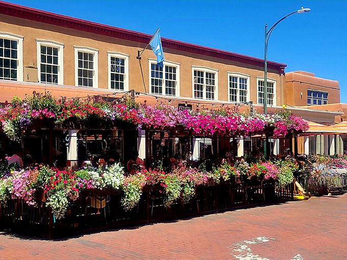 Step onto this vibrant patio! The flowers are blooming, the sun is shining, and you just know the perfect New Mexican meal awaits inside.