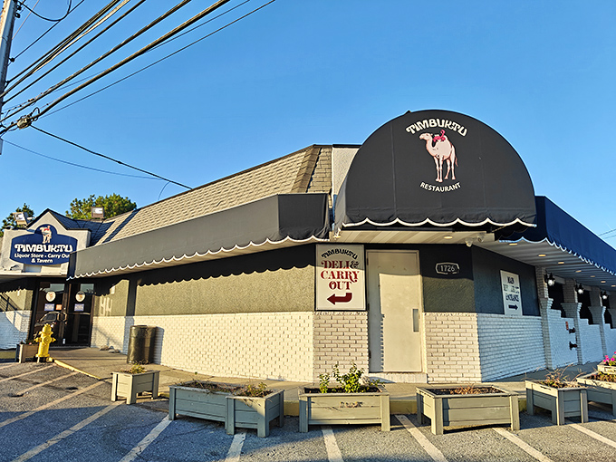 The unassuming exterior of Timbuktu, with its iconic camel logo, proves that culinary treasures often hide in plain sight.