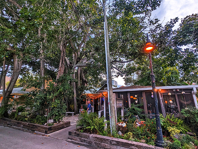 A cozy hideaway where twinkling lights, tangled trees, and seafood dreams lure you in without a fight.