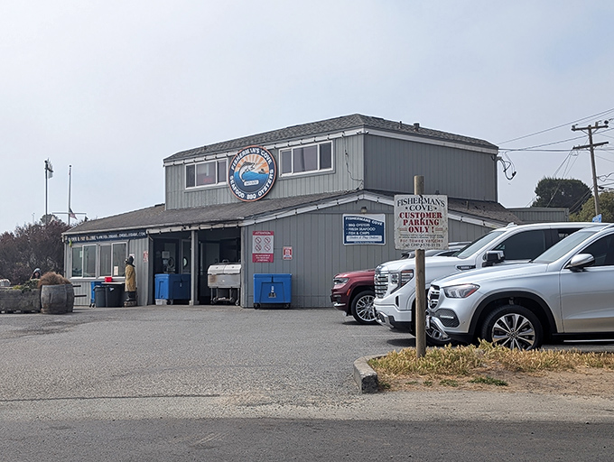 Like a maritime time capsule, this weathered building has withstood decades of coastal elements while protecting the seafood secrets within.