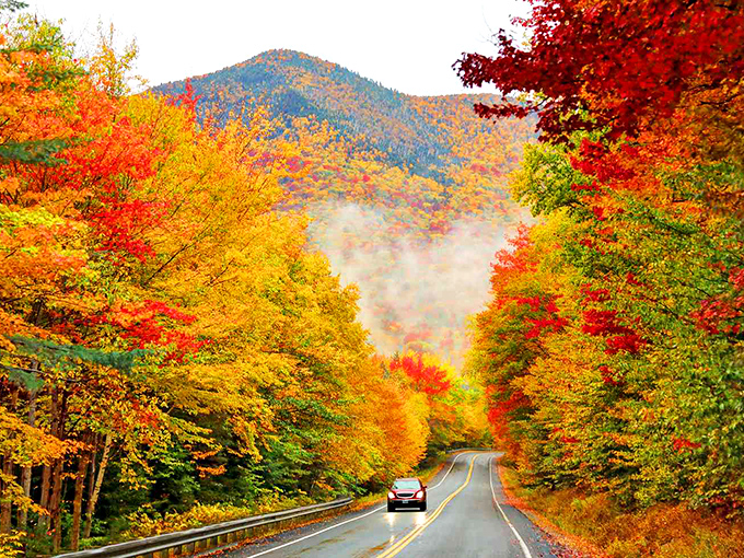 Nature's own color explosion! The Kancamagus Highway cuts through a kaleidoscope of autumn foliage that makes even the most jaded travelers pull over in awe.