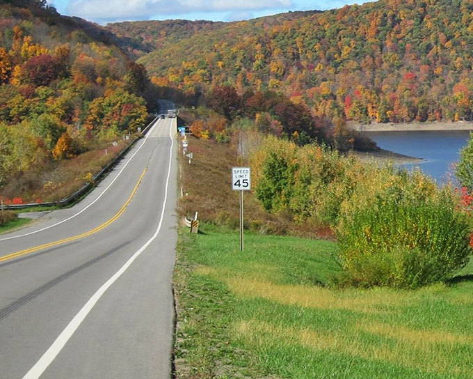 The road less traveled becomes the memory most treasured. Nature's own red carpet unfurls along the Longhouse Scenic Drive, where every curve reveals a new masterpiece.