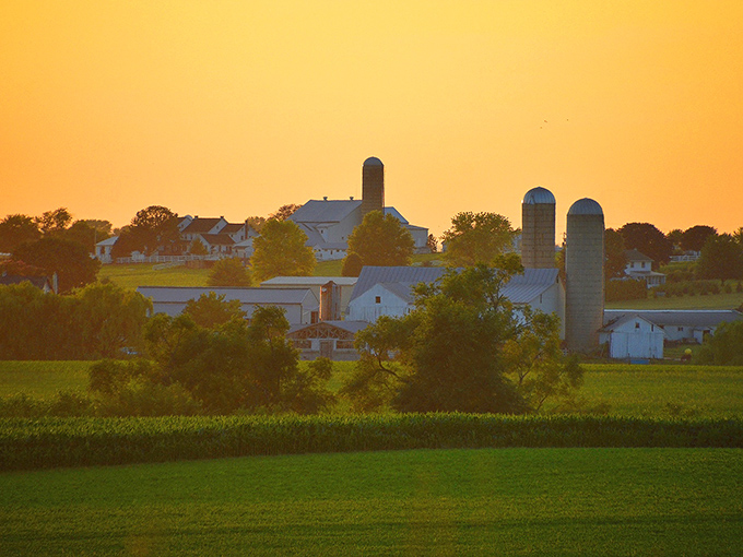 Golden hour transforms Amish farmland into a painting come to life, where silos stand like sentinels guarding a simpler way of living.