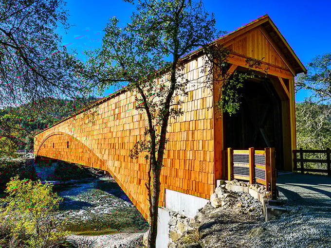 The honey-amber hues of Bridgeport Covered Bridge glow in the California sunshine, spanning the crystal-clear South Yuba River like a postcard come to life.