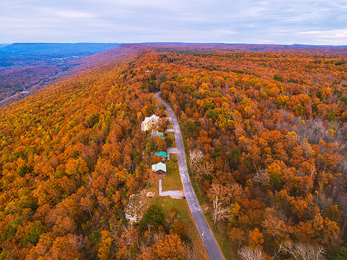 Autumn in Mentone transforms Lookout Mountain into nature's own fireworks display. The winding road cutting through this kaleidoscope of fall colors feels like driving through a painting come to life.