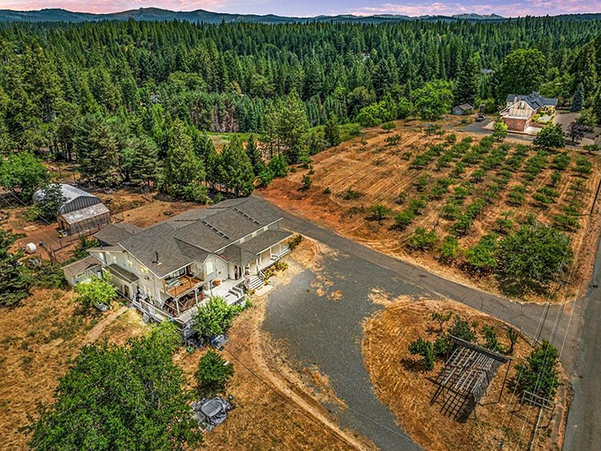 Aerial paradise! Camino's sprawling pine forests and scattered homesteads offer that "million-dollar view" without the million-dollar price tag.