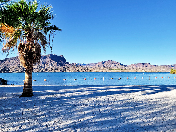 Paradise found! Where the desert meets water in a spectacular collision of landscapes that makes you wonder if Mother Nature was showing off.