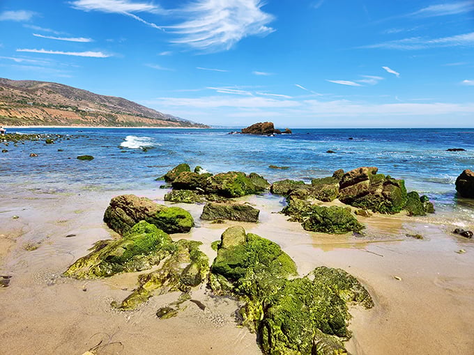 Mother Nature's tide pool laboratory, where moss-covered rocks create emerald islands in a sandy sea. The Pacific whispers secrets if you listen closely enough.