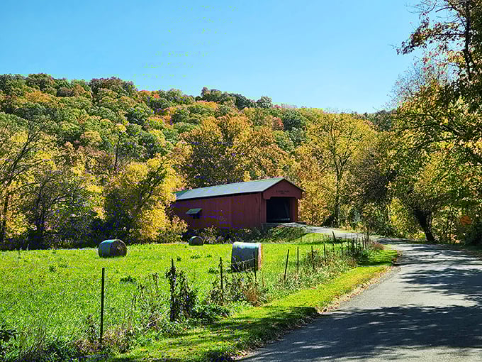 Fall's masterpiece unfolds at Versailles State Park, where nature paints the landscape in golden hues worthy of a standing ovation.