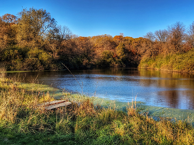 Autumn transforms this serene pond into nature's own masterpiece. The golden trees reflect in still waters like they're admiring their seasonal makeover.