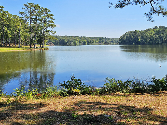 Mother Nature's masterpiece on display &ndash; the glassy waters of Lake Lowndes mirror the sky in perfect symmetry.
