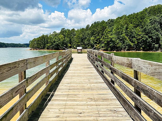 The wooden pier stretches toward forever, inviting you to leave your worries on shore and step into nature's embrace.