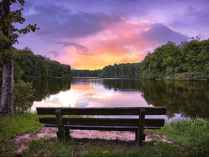 Pin Oak Lake unfolds like nature&rsquo;s welcome mat, its glassy surface perfectly reflecting the evening sky worthy of Sinatra&rsquo;s admiration.