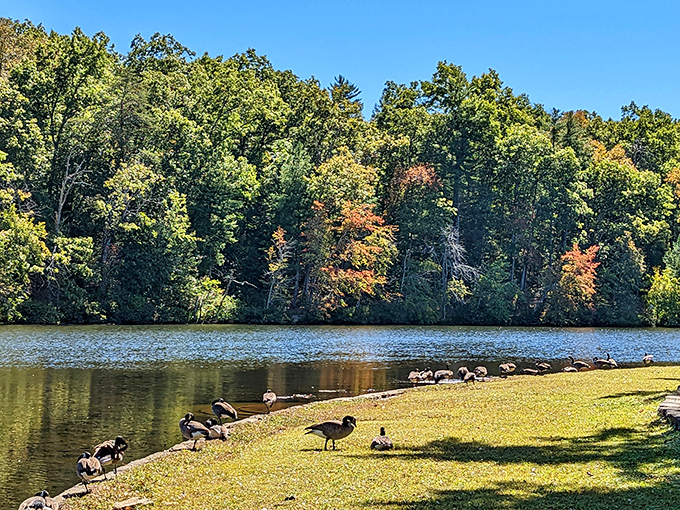 Nature's color palette on full display at Byrd Lake, where even the ducks seem to be posing for their Instagram moment. 