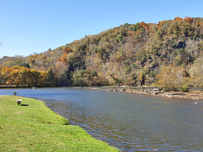 Nature's perfect mirror act! The New River reflects autumn's golden palette while whispering promises of adventure around every bend.